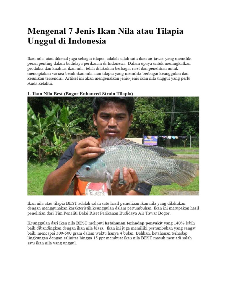 Mengenal 7 Jenis Ikan Nila | PDF