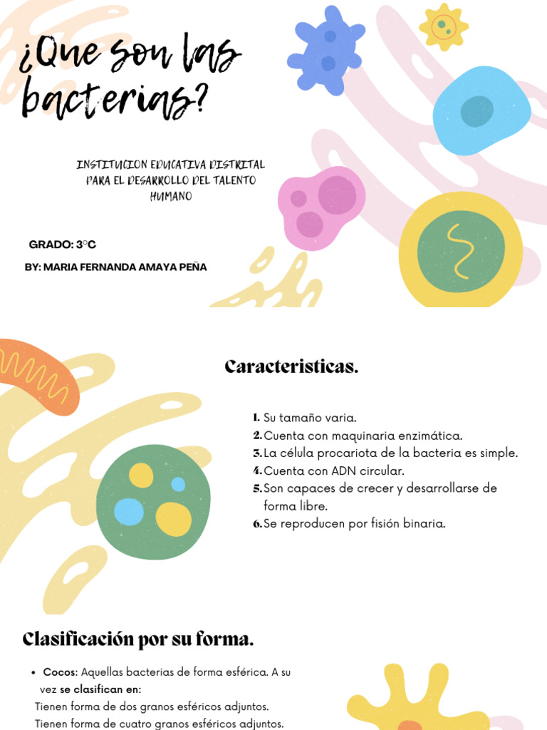Introducción a las Bacterias | PDF | Salud y bienestar | Ciencia y ...