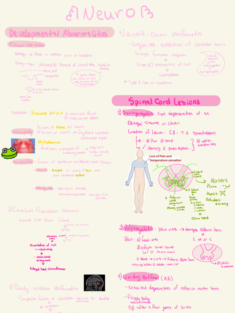 Neurology Pathoma Chapters Review | PDF