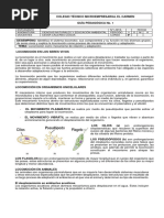 Ejemplos de Movimiento Ameboide | PDF | Músculo esquelético | Biología ...
