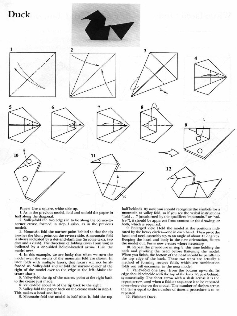 Duckduck Paper | PDF