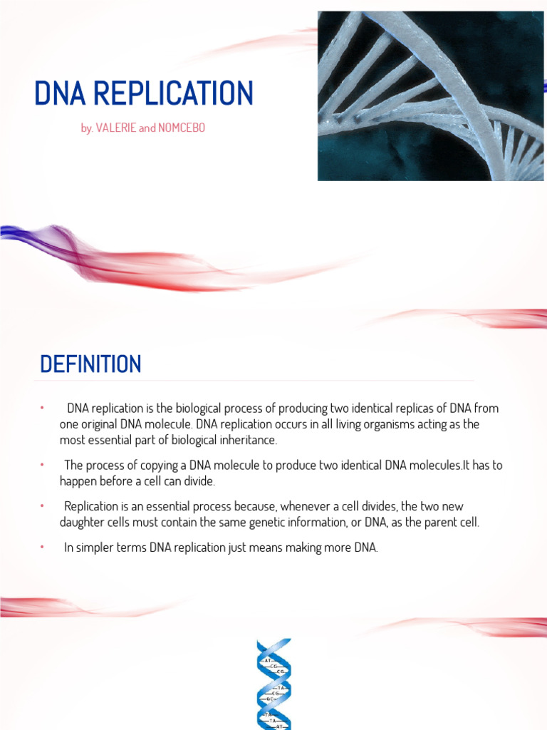 DNA Replication | PDF | Dna Replication | Dna