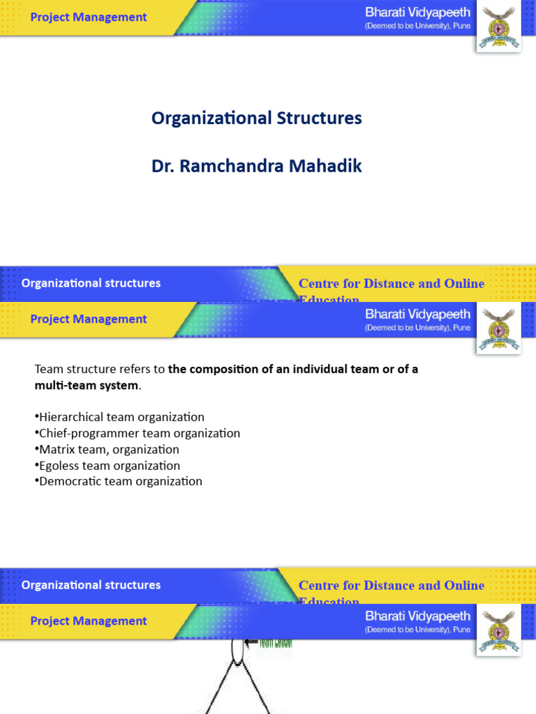 Project Management Team Structure | PDF | Organizational Structure ...