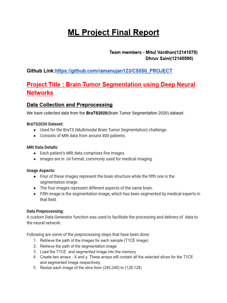 ML Project Report Phase 2 | PDF | Image Segmentation | Computational Neuroscience