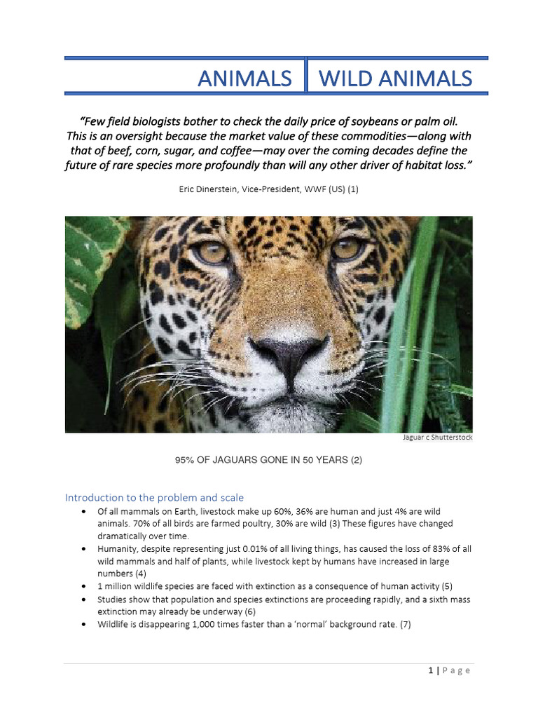 Animals Wild Animals | PDF | Wildlife | Biodiversity