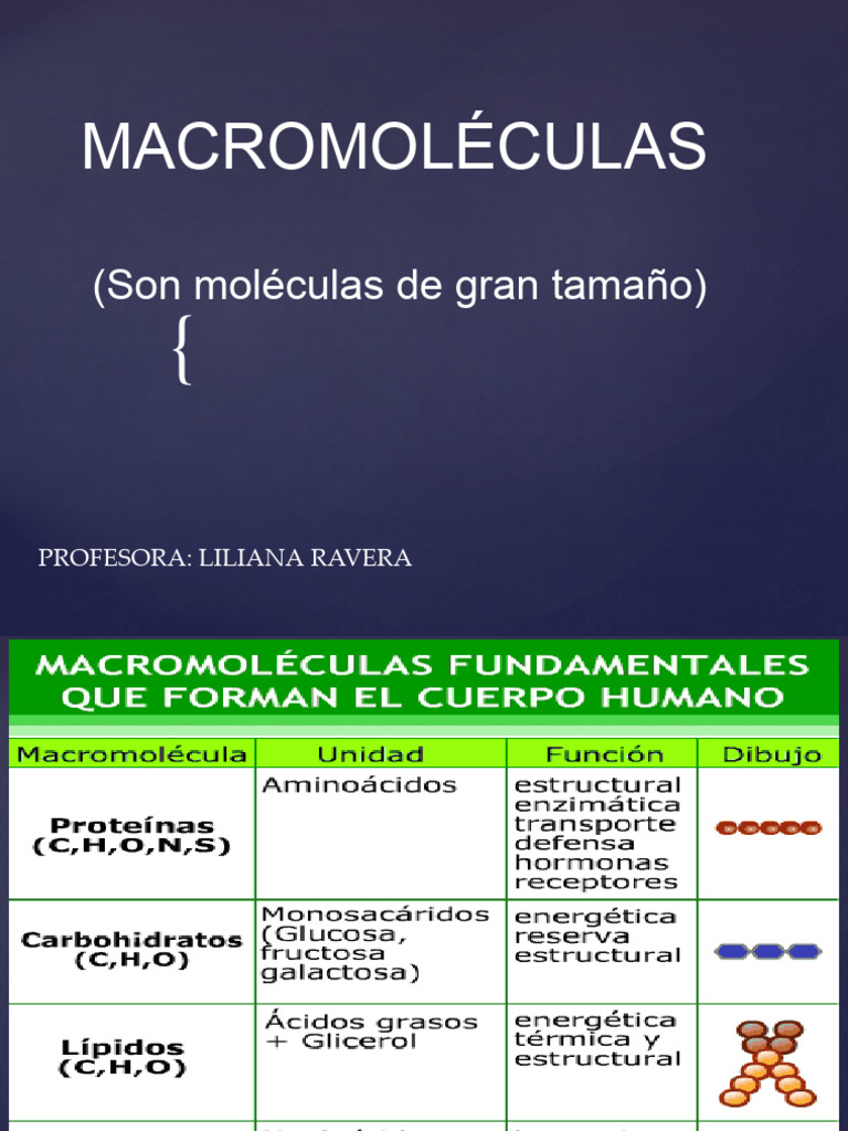 MACROMOLÉCULAS | PDF | Proteínas | Carbohidratos