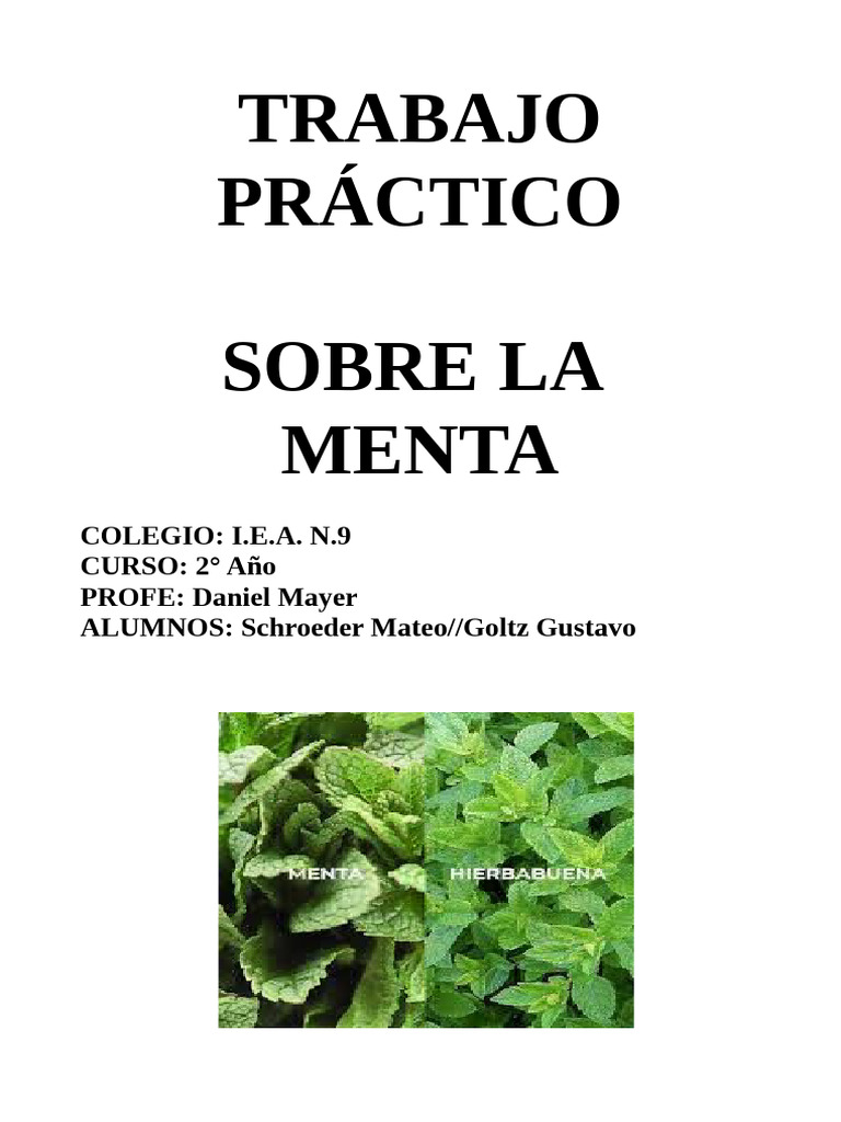Trabajo Práctico Sobre La Menta | PDF | Mentha | Hierbas y especias