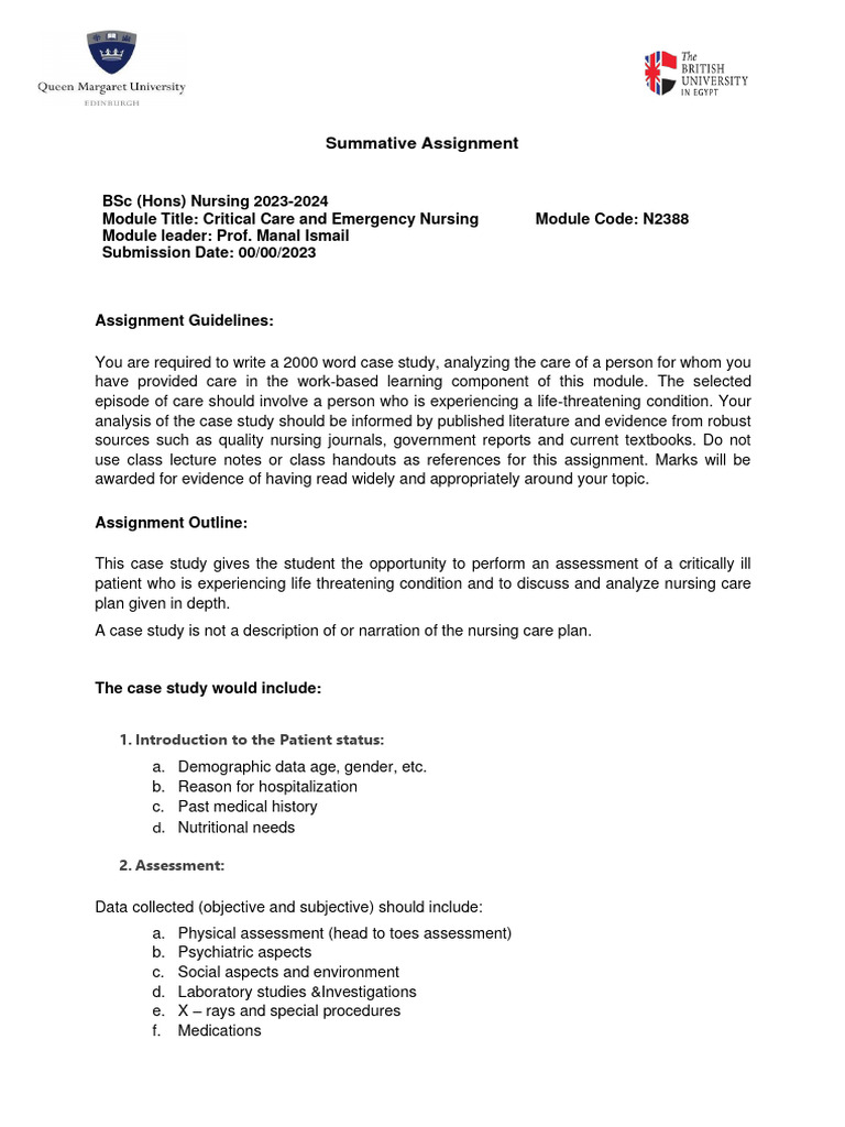N2388 Assignment Guidlines | PDF | Nursing | Turnitin