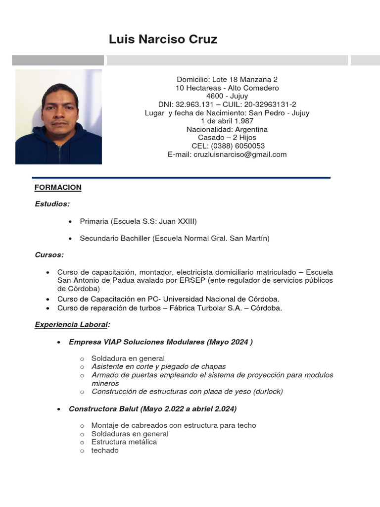 cv Luis Cruz | PDF