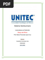 Misión y Visión de Unitec | PDF