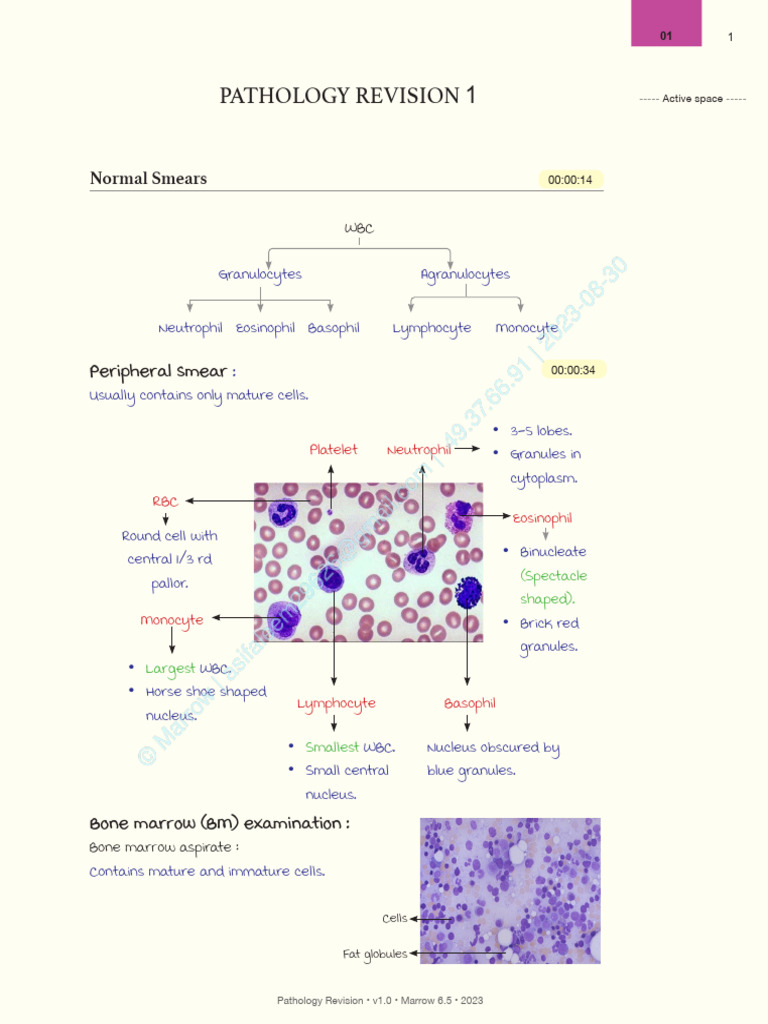 Key Pathology Concepts and Mnemonics | PDF | Causes Of Death | Medical ...