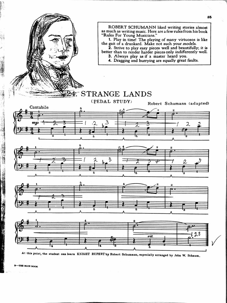 Strange Lands (Adaptación) - Schumann | PDF