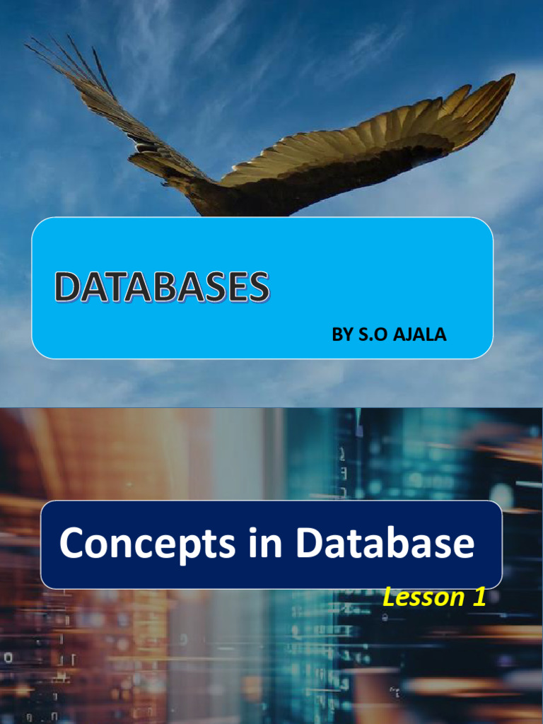 DATA MANIPULATION Year 10 | PDF | Relational Database | Databases