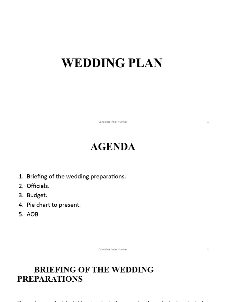 Wedding Plan | PDF | Wedding | Bride