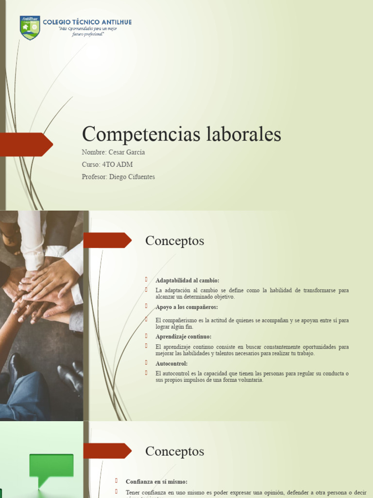 Competencias Laborales | PDF | Aprendizaje | Ingeniería de confiabilidad