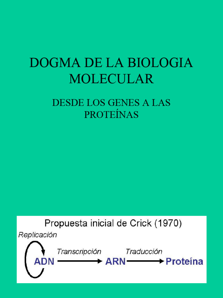 DOGMA DE LA BIOLOGIA MOLECULAR | PDF | Aminoácidos | Adn