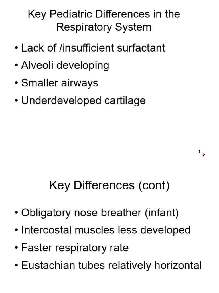 Pediatric Respiratory System Differences | PDF | Respiratory Diseases ...
