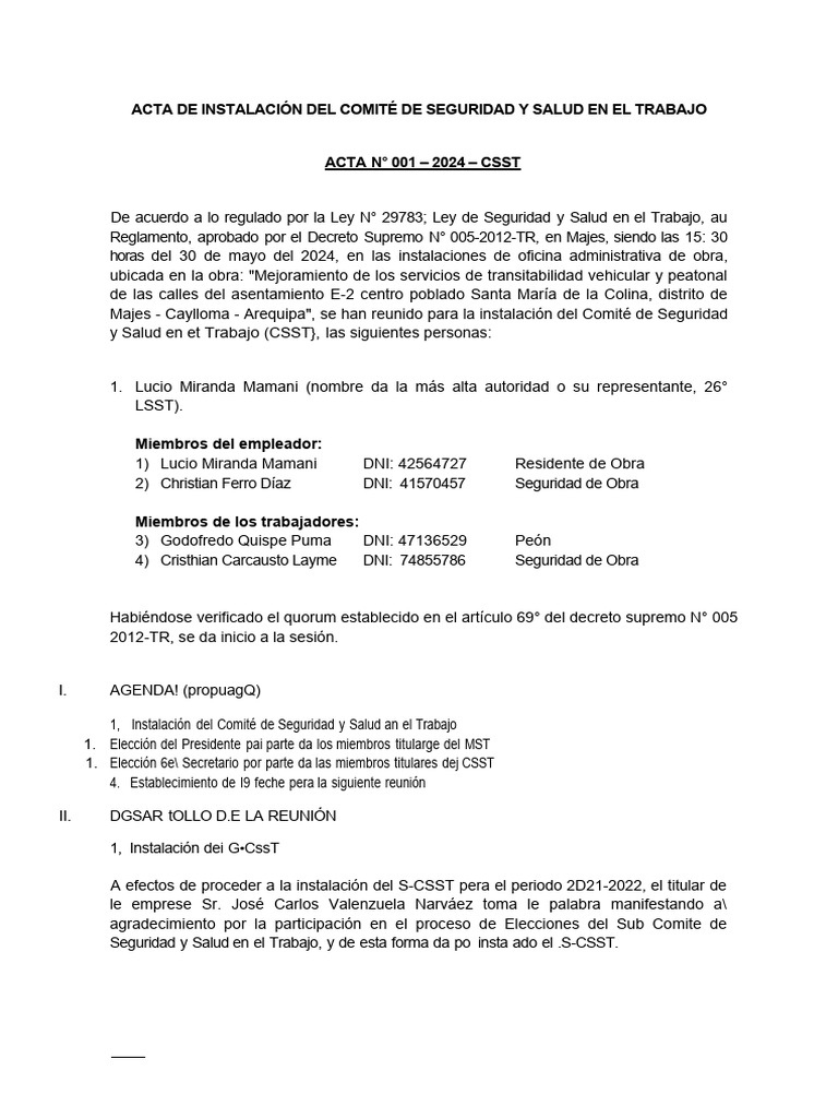Acta de Instalacion Del SCSST | PDF | Gobierno