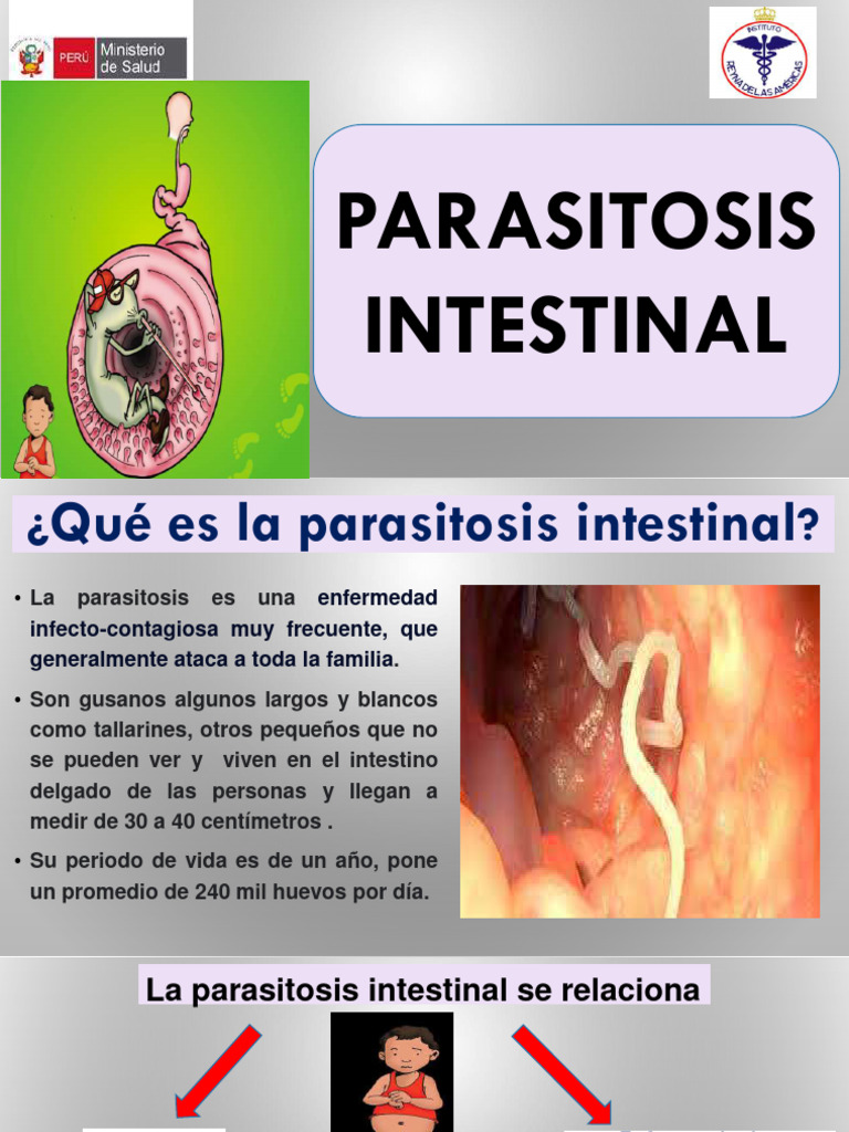 Rotafolio de Parasitosis | PDF