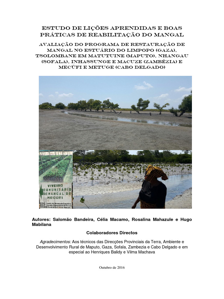 Licoes Aprendidas Reabilitacao Mangais e | PDF | Mangue | Moçambique