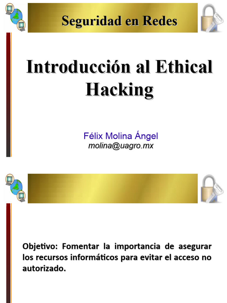 Seguridad en Redes | PDF | sistema de nombres de dominio ...