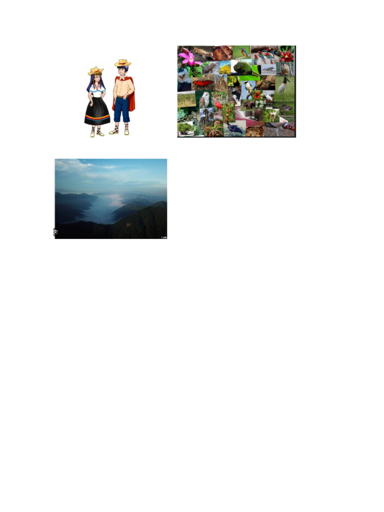 imagenes tareas sofi | PDF