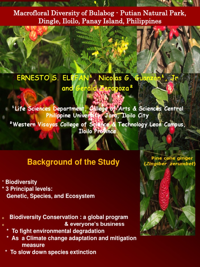 1_bulabog-Putian Feb. 2,2010 | Biodiversity | Conservation Biology