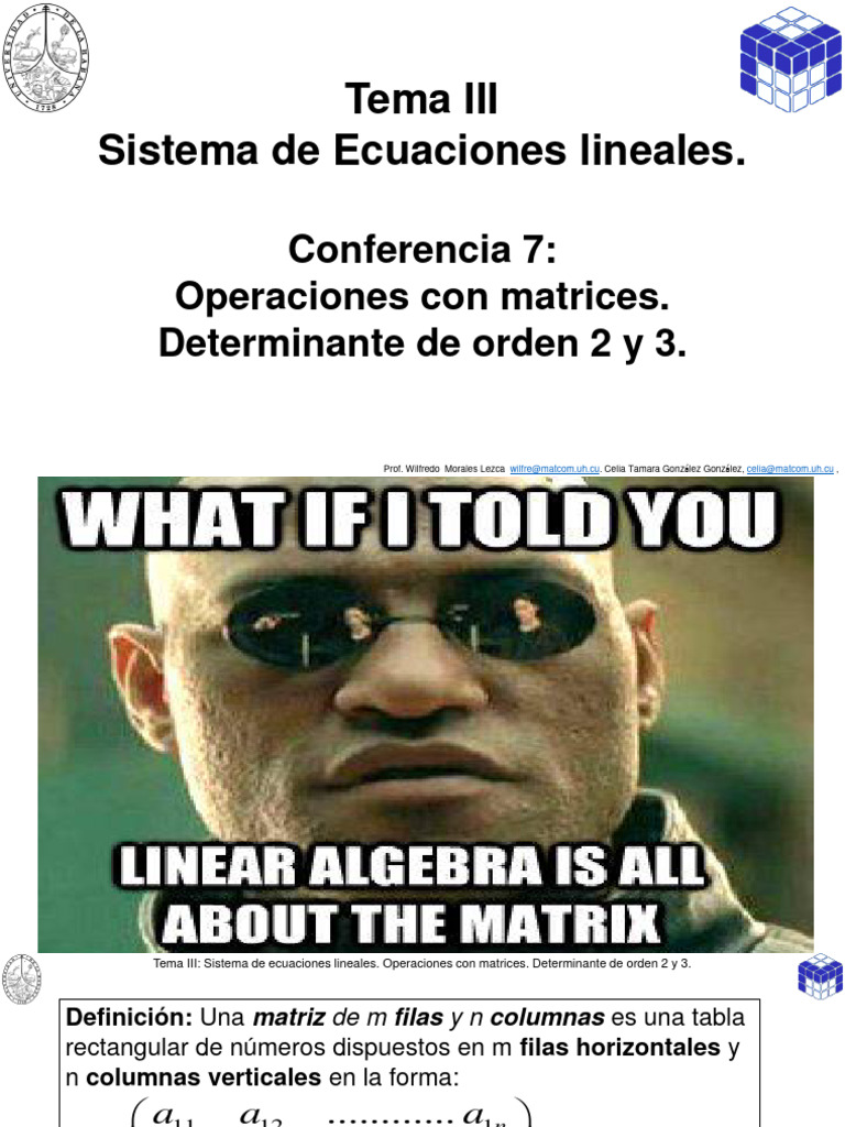 Conf 7. SEL 2 Matrices | PDF | Matriz (Matemáticas) | Determinante