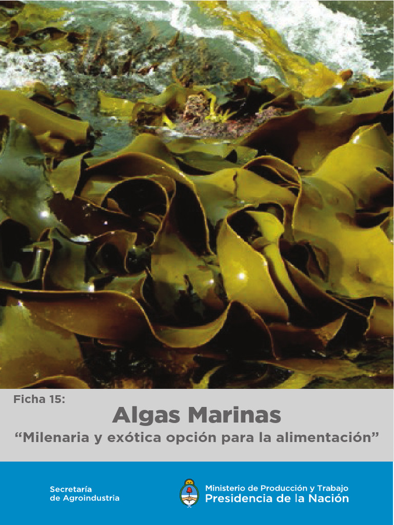 Ficha 15 Algas | PDF | Algas | Alimentos