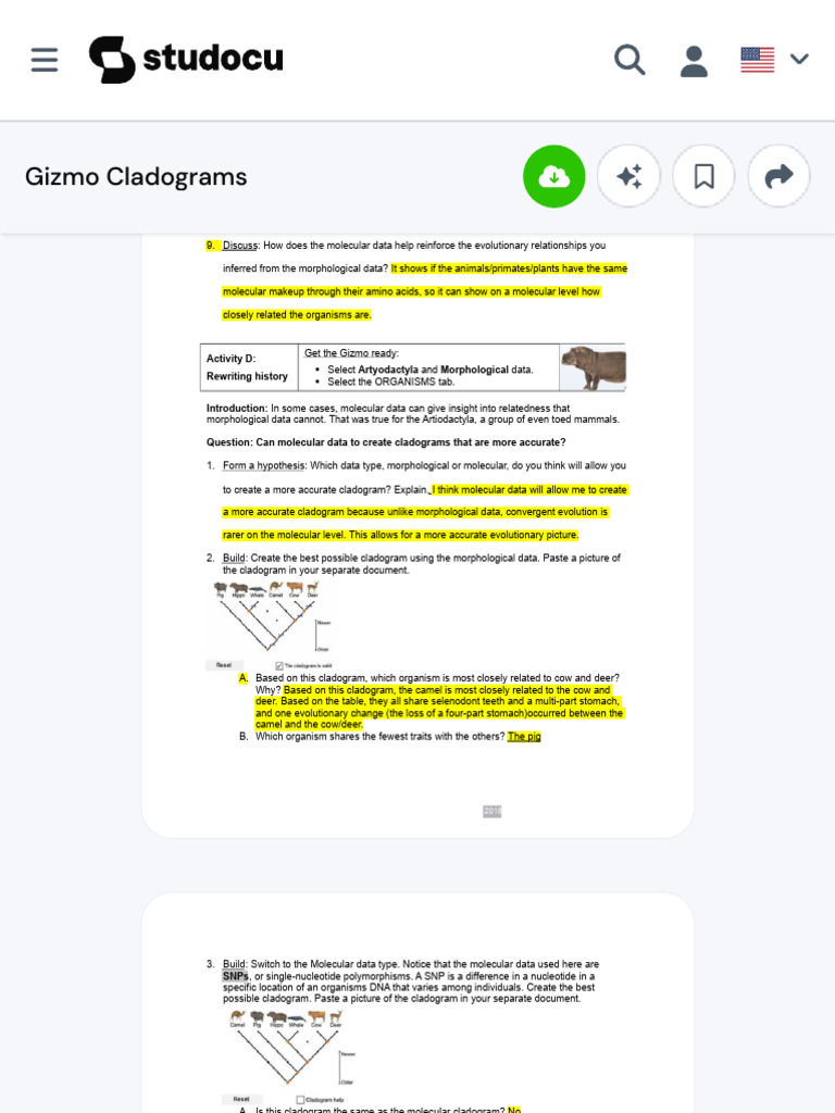 Gizmo Cladograms - Name Date Student Exploration Cladograms Vocabulary ...