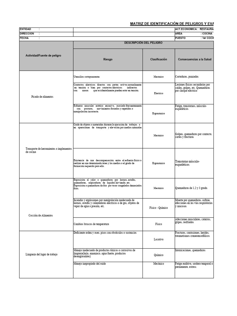 Descripción Del Peligro: Matriz de Identificación de Peligros Y Evaluación de Riesgos | PDF ...