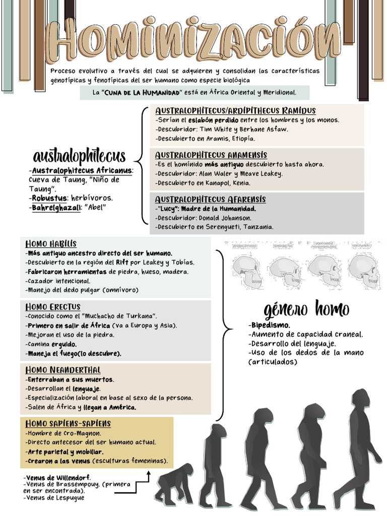 Proceso de Hominización y Evolución Humana | PDF | Libros para adolescentes