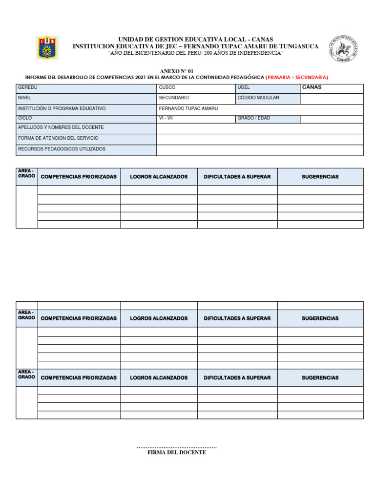 Formato de Informe | PDF | Maestros | Comprensión lectora