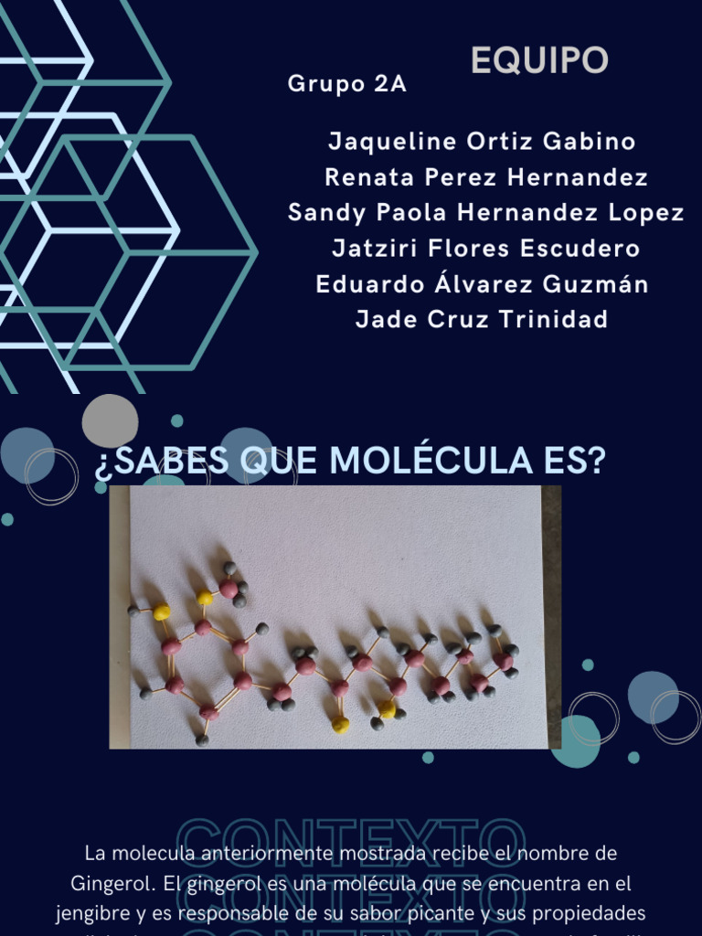 Act. Integradora | PDF | Jengibre