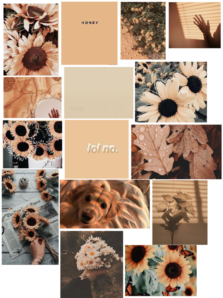 Colash 1 | PDF
