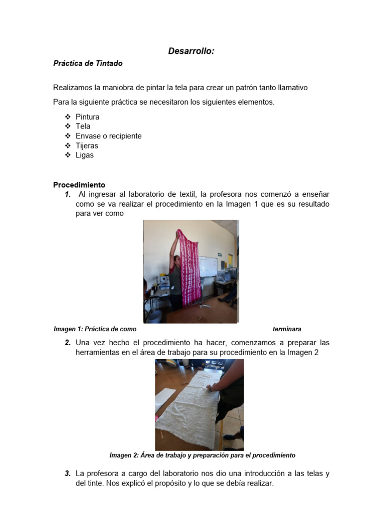 Desarrollo (1) | PDF