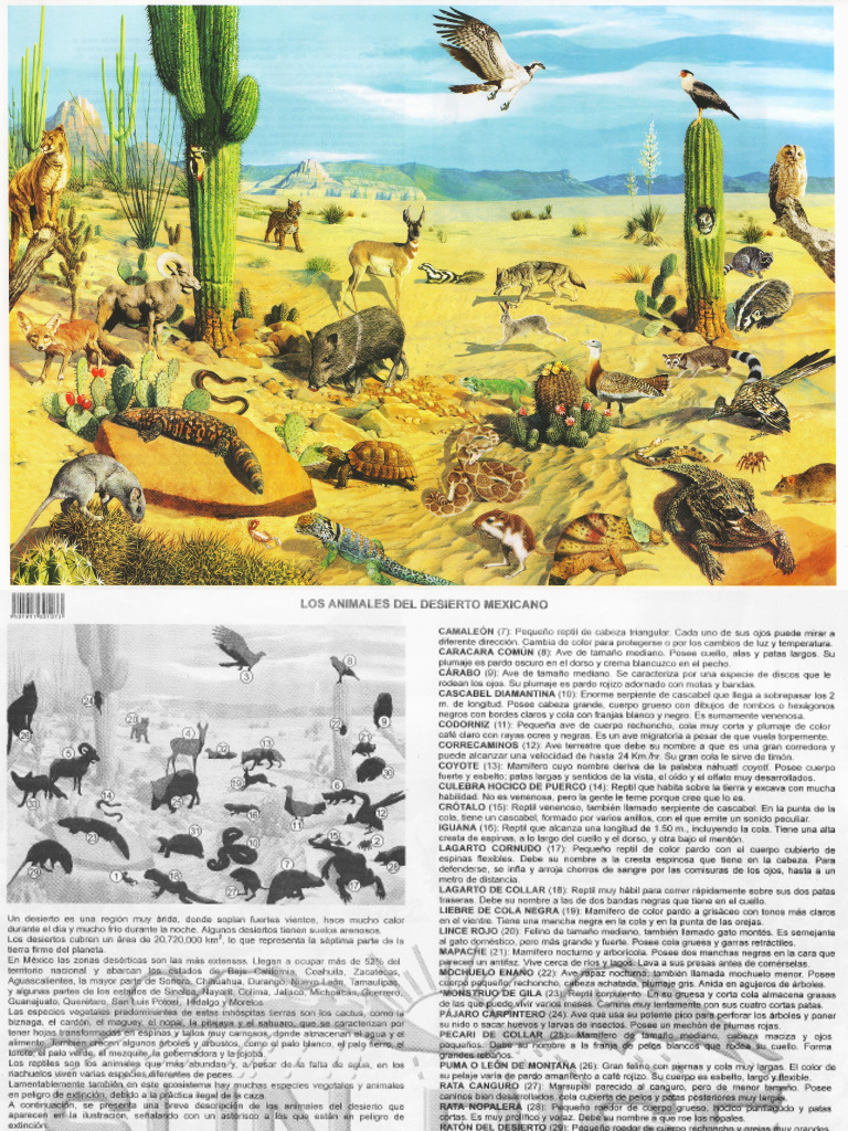 Anmales Del Desierto Pdf
