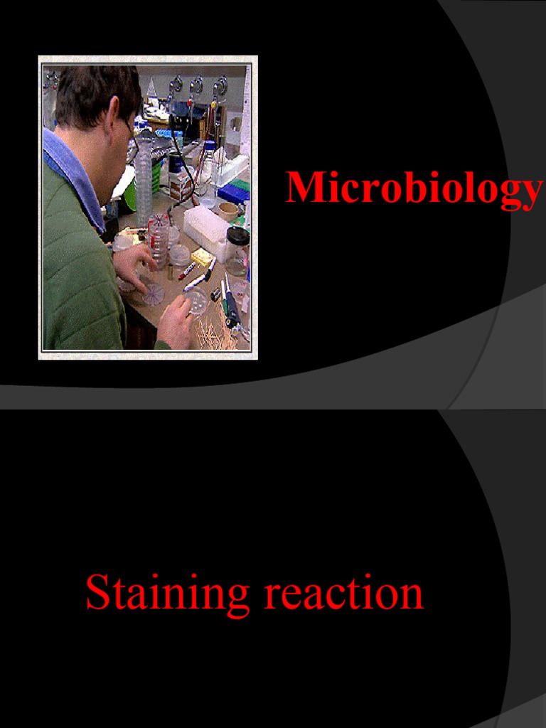 Staining Reaction 16-11-2016-1 | PDF | Staining | Microscopy