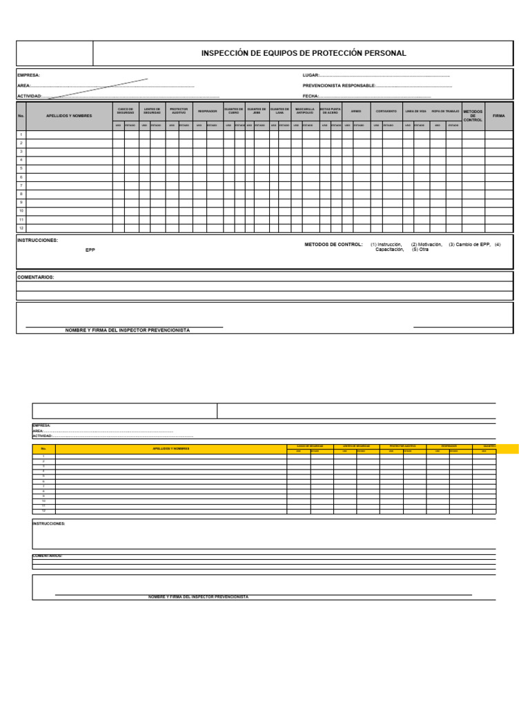 2019 Inspeccion de Epp | PDF