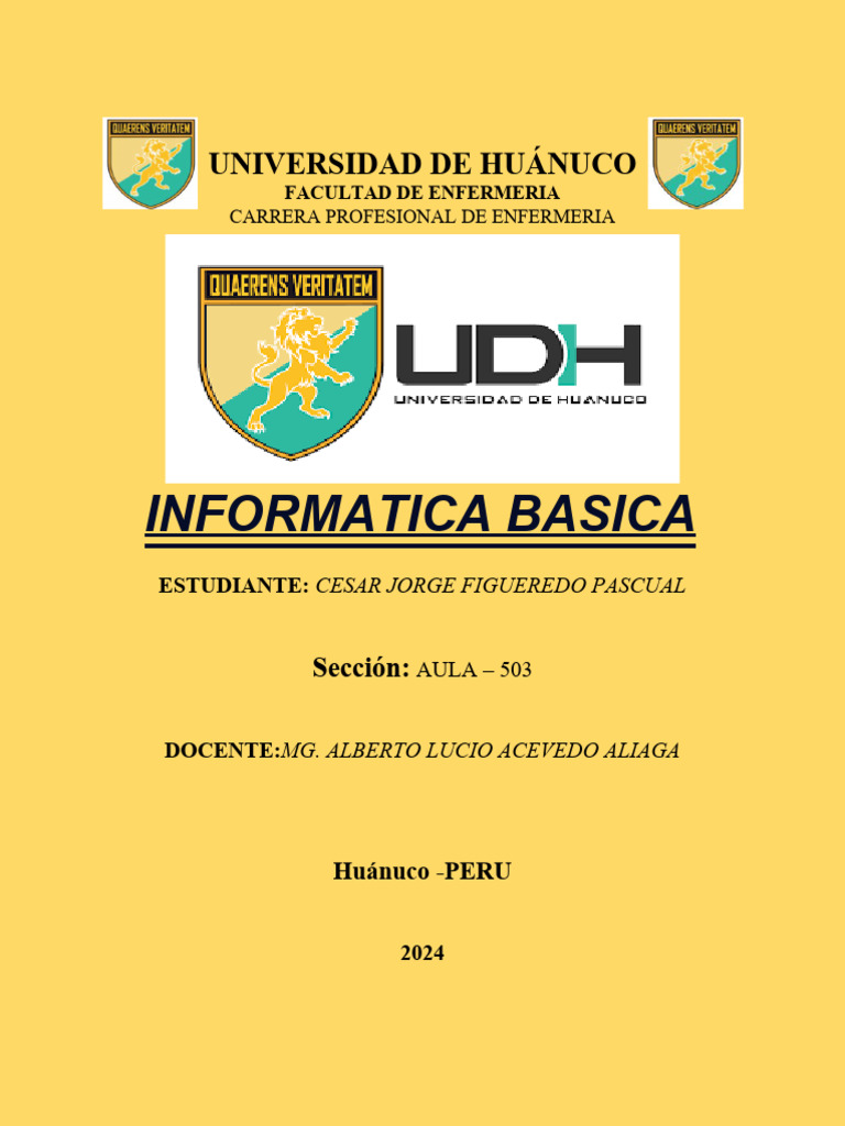 Informatica Caratula | PDF
