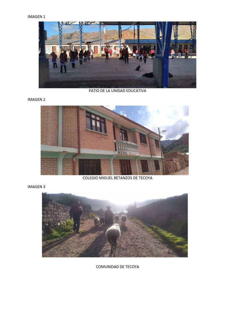 Imagenes de Practica 4to | PDF