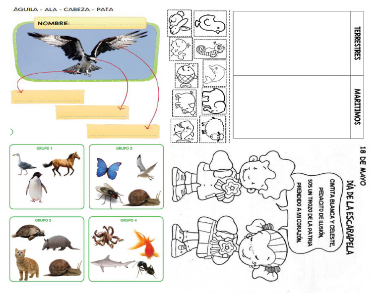 Para Imprimir 20 Copias | PDF