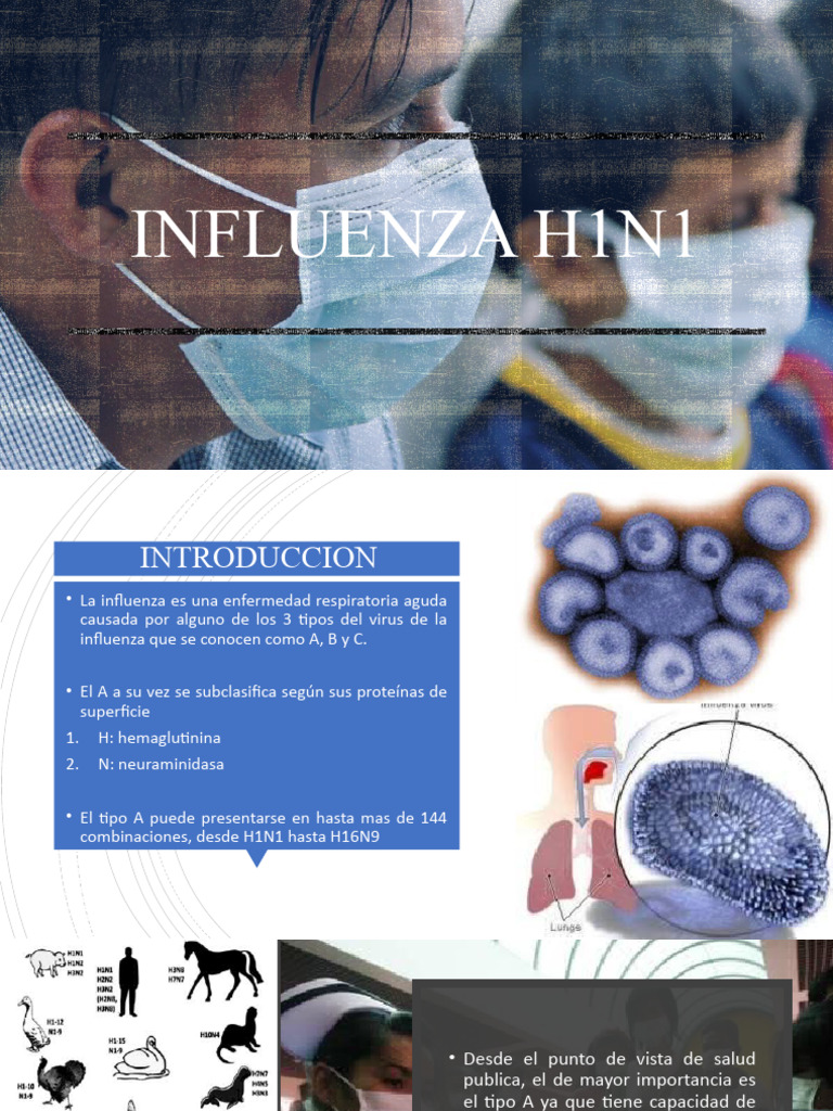 Guía Completa sobre Influenza H1N1 | PDF | Virus de la Influenza A ...