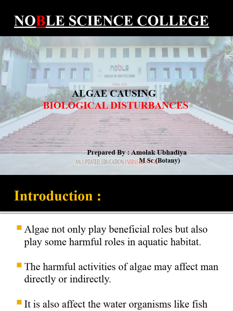 Alage Causing Biological Disturbances One of The Best Topic of Algae | PDF | Water | Decomposition