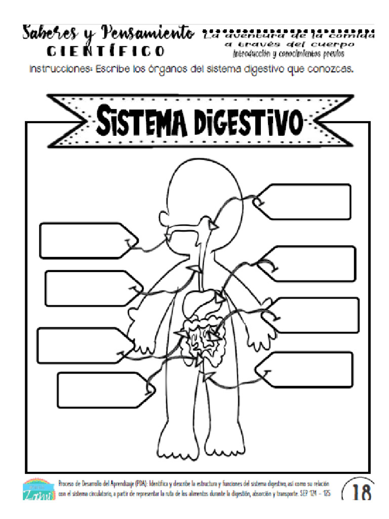 Anexos Saberes Proyecto 2-1 | PDF