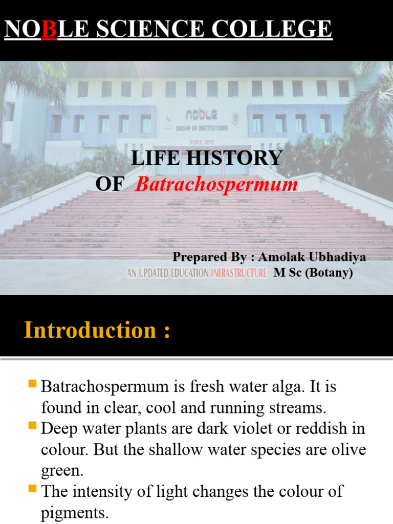 Batrachospermum Life Cycle Overview | PDF | Biological Interactions ...