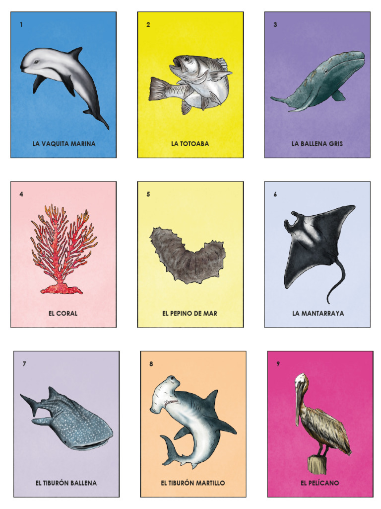 Cartas Loter A | PDF