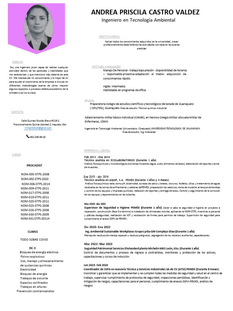 CV Actualizado PRIS | PDF
