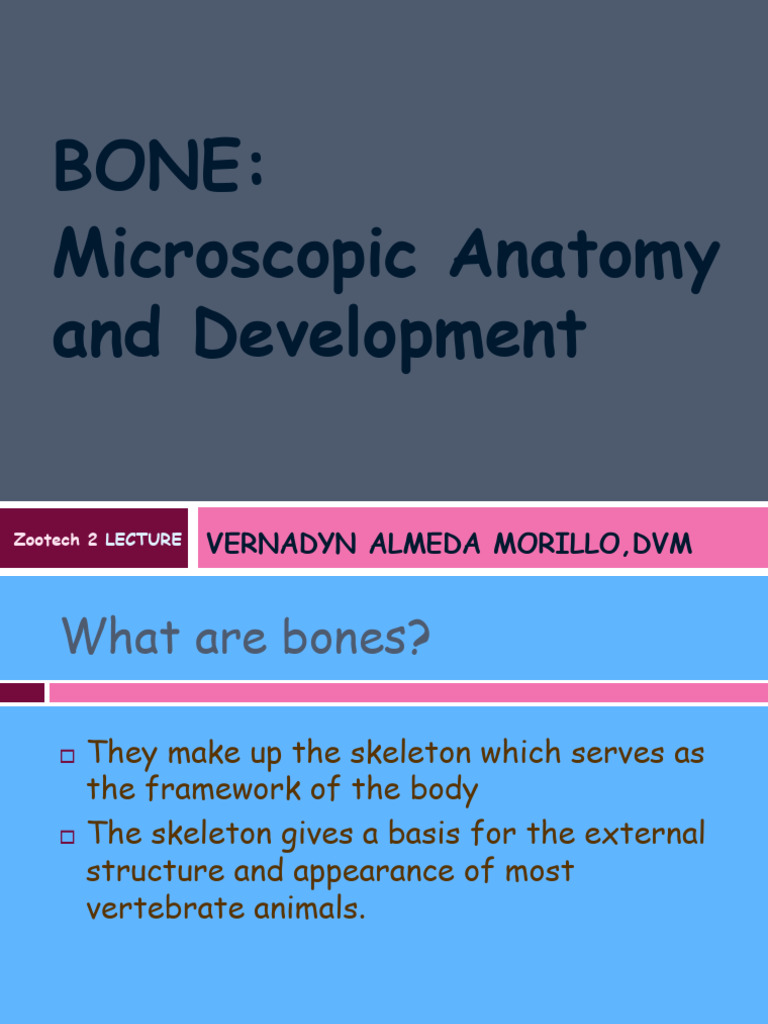 topic-5.-bone-microscopic-anatomy-and-devt-1 | PDF | Bone | Osteoblast
