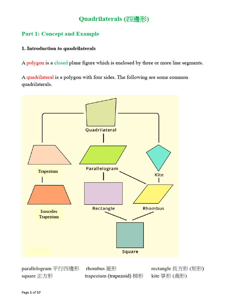 Quadrilateral Basics Guide | PDF | Rectangle | Elementary Geometry